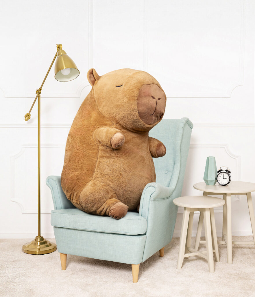 Capybara - DearBear.eu